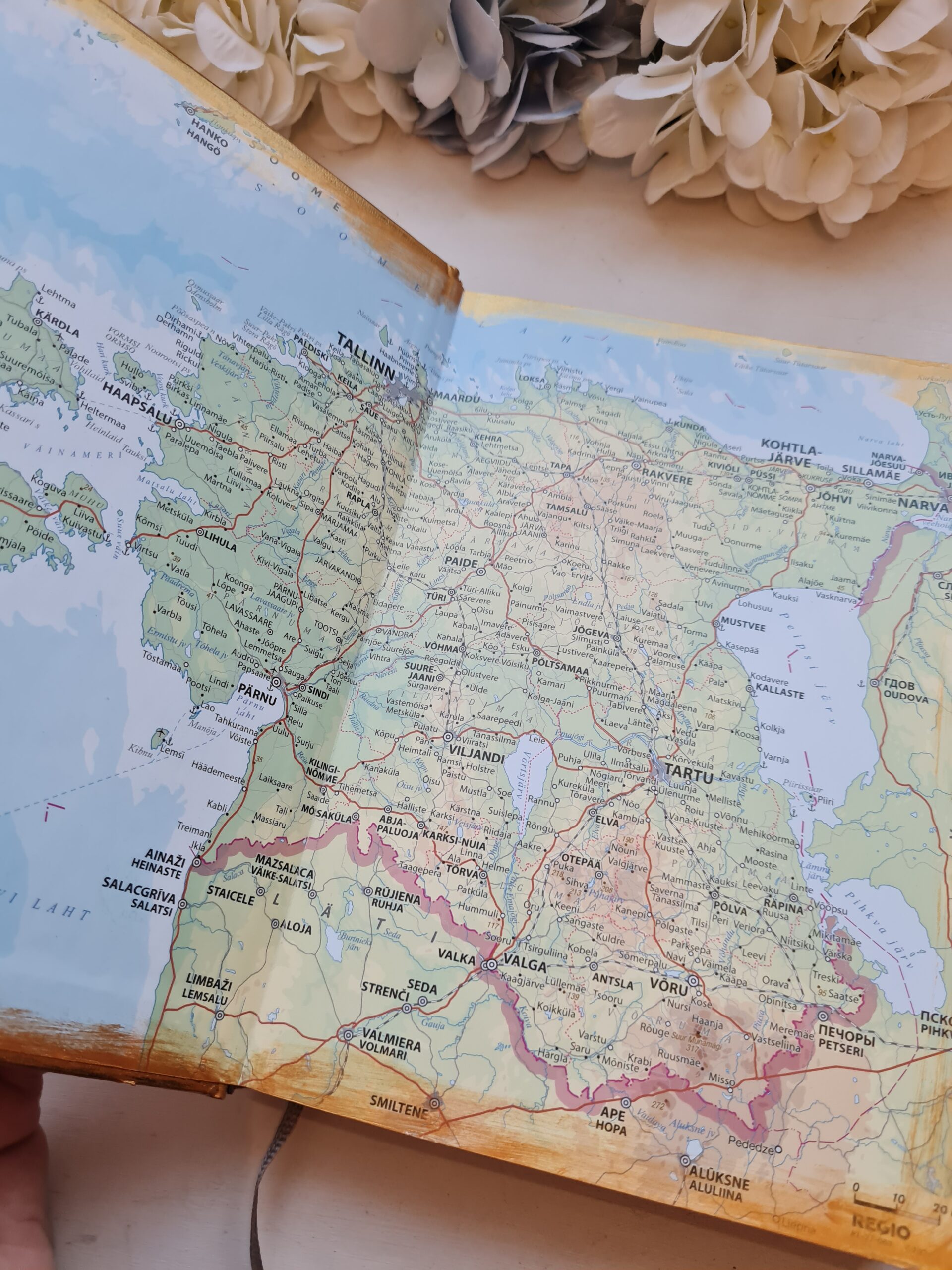 Calendar-notebook 2026 "Golden Dream" - Roosiait