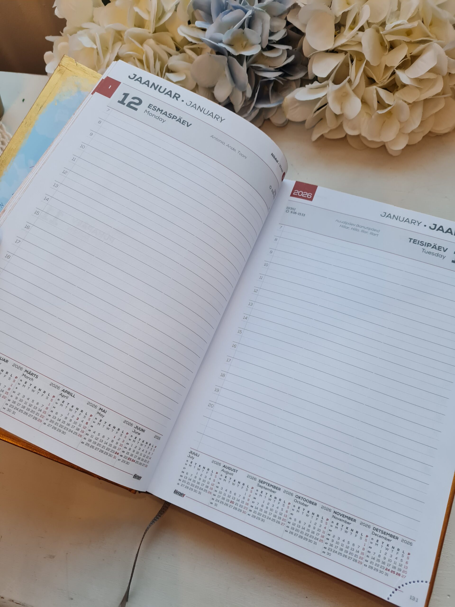 Calendar-notebook 2026 "Golden Dream" - Roosiait